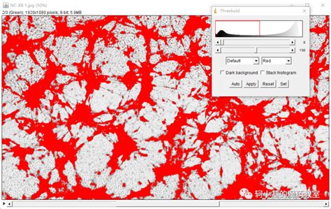 如何使用imagej分析染色面积？ 实验 按钮 调节