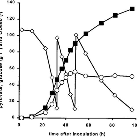 Growth And Pyruvate Production During An Aerobic Repeated Batch Culture