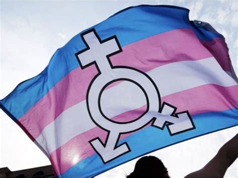 Feminismo De La Diferencia Historia Y Objetivos