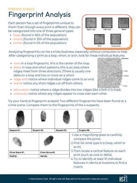 Fingerprint Analysis Pdf Young Adult Home And Garden