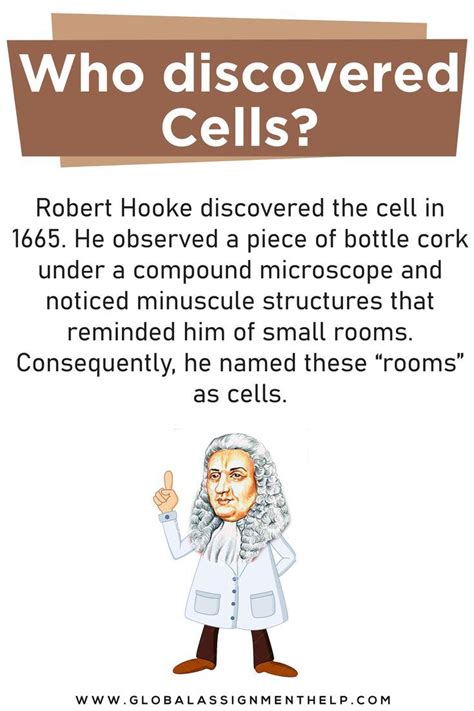 Science Assignment Help And Writing Service For Science Assignments Biology Facts Learn