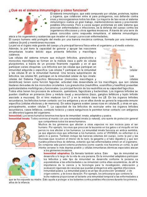 Qué Es El Sistema Inmunológico Y Cómo Funciona Pdf Sistema Inmune