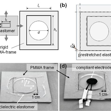 Fabrication Steps For Dielectric Elastomer Minimum Energy Structures Download Scientific