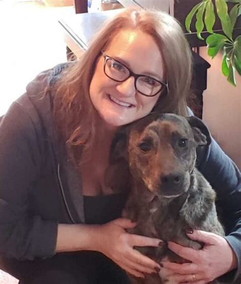 Veterinarian In Kingston Nh Plaistow Kingston Animal