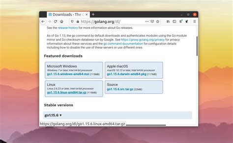 Установка go в ubuntu 20 04 losst