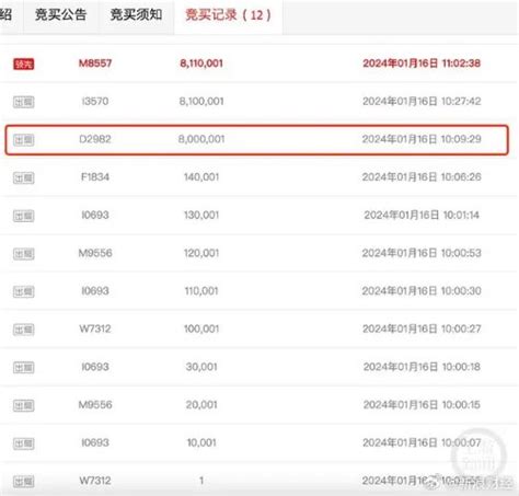 温州涉嫌集资诈骗女老板千万豪宅1元起拍 竞价飙至800万 游民星空