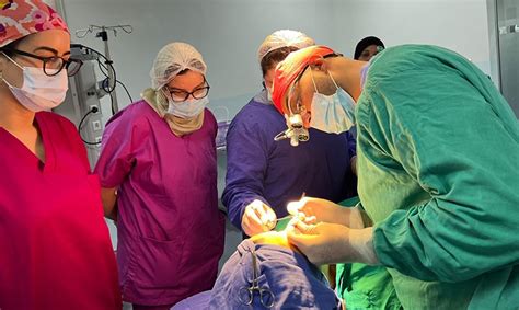 Chirurgie Esthétique Mes Academy