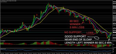 MT4 MT5 Binary Options Trading Signals Indicator Software