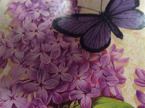 Sta Cey Ito User Profile Deviantart