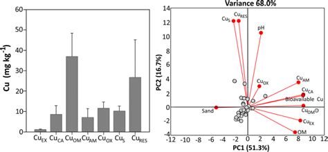 Cu Fractionation At The Irrigated Area And A Bi Plot Of Pca Results