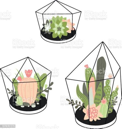 벡터 Terrariums에 귀여운 선인장 및 Succulents 설정입니다 스 칸디 나 비아 스타일에서 집 식물을 가진