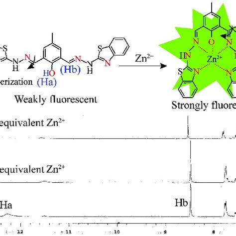 1 H Nmr Stack Plot Of L1 With Different Concentration Of Zn 2 In