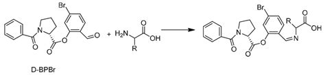 Scheme 1 D Bpbr Derivatization Reaction With Amino Compounds [22] Download Scientific Diagram