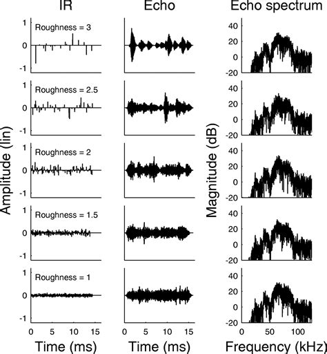 A Neural Correlate Of Stochastic Echo Imaging Journal Of Neuroscience