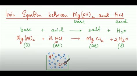 Net Ionic Equation Between Mgoh2 And Hcl Mega Lecture Youtube