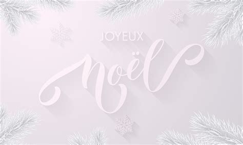 하얀 눈 서 리 배경에 Joyeux 노엘 프랑스어 메리 크리스마스 휴일 눈송이 장식 냉동 얼음 손으로 그려진된 서 예 글꼴와 얼음 전나무 분기 크리스마스 또는 새 해 인사말