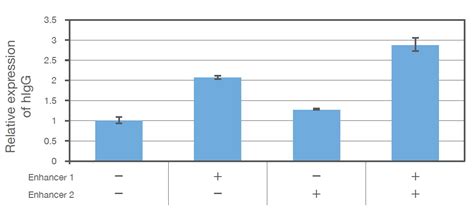 Mammalian Cell Based Protein Expression — Protein Expression Handbook