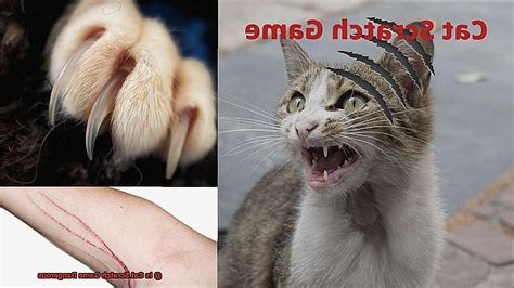 Is Cat Scratch Game Dangerous