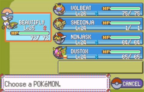 My Bug Monotype Team R Pokemonemerald
