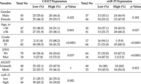 The Relationship Between Cancer Susceptibility Gene 2 Casc2 And Download Scientific Diagram