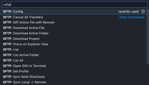 Automatically Syncing Scripts To Your RONIN Machine With Visual Studio Code