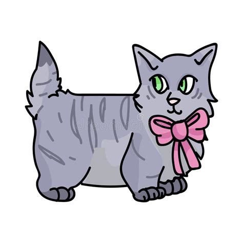 Cute Cartoon Munchkin Kitten With Pink Bow Vector Clipart Pedigree