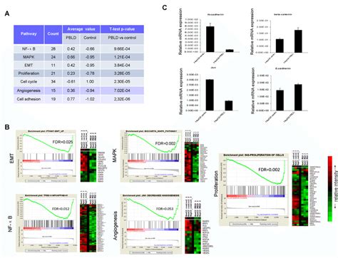 Whole Genome Microarray Analysis Of Gene Expression In Hepg2 Cells Download Scientific Diagram