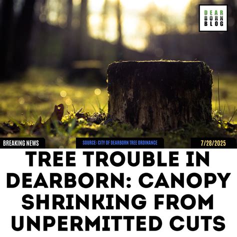 🌳 Unpermitted Tree Cutting In Dearborn Threatens Citys Green Canopy