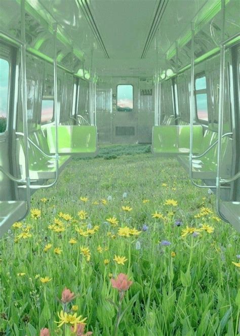 وایب عکس ویسگون