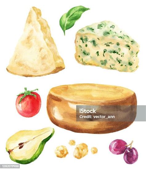 손으로 그린 수채화 파르미지아노 이탈리아어와 흰색 배경에 고립 된 토마토 배 포도 열매를 곁들인 브리 프렌치 치즈 맛있는 음식 일러스트 수채화에 대한 스톡 벡터 아트 및