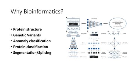 Ppt Deep Learning In Bioinformatics Powerpoint Presentation Free Download Id 8825311