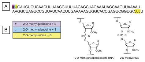 Rna Cqa Analysis Using The Bioaccord Lc Ms System And Intact Mass Waters Connect Application