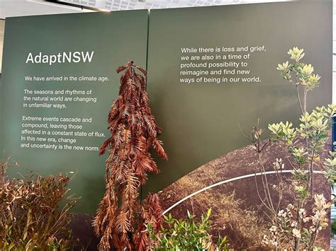 Carli Leimbach On Linkedin Adaptnsw2023 Climateadaptation