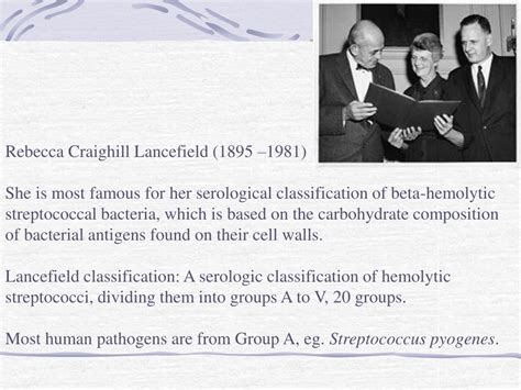 Ppt Lancefield Classification And Pathogenicity Of Streptococcal Bacteria Powerpoint