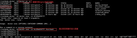 Docker Docker Csdn