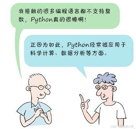 《python修炼秘籍》02数值类型、分支语句if之后提供额外分支的语句复数 Csdn博客