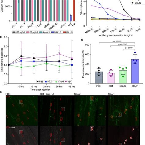 Quantitative Myasthenia Gravis Scale Download Scientific Diagram