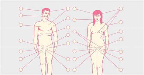 The Sex Talk You Never Had With Your Parents WIRED