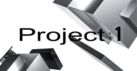 Project
