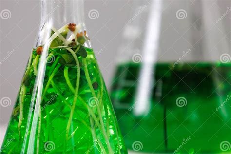 Research And Biotech Science Scientists Are Developing Research On