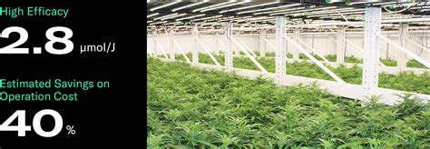 650w Pro Pro Led Grow Light Commercial Led Grow Light Flexstar
