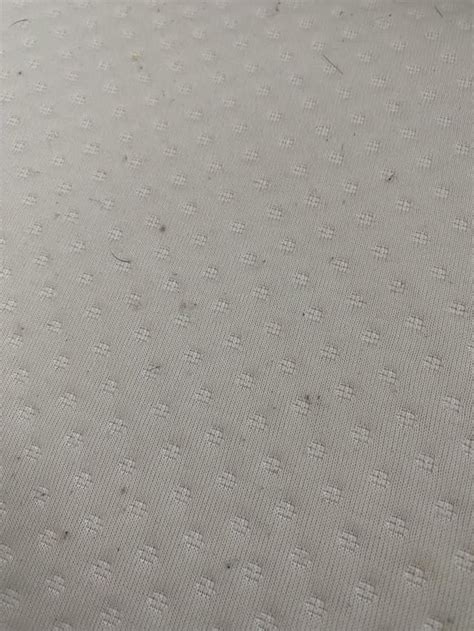 Are These Bedbug Signs Rbedbugs