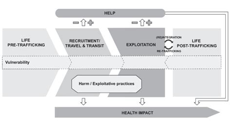 Human Trafficking Risk Factors Health Impacts Marron Institute