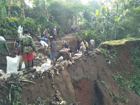 Irigasi Di Cipatat KBB Jebol Diterjang Longsor 500 Hektare Sawah