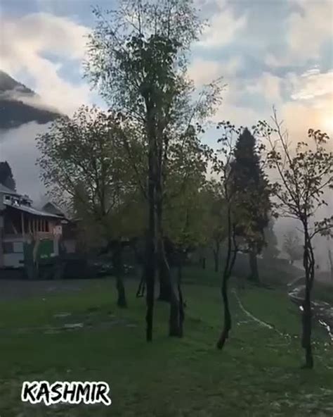 Tahir Iqbal Posted On Linkedin