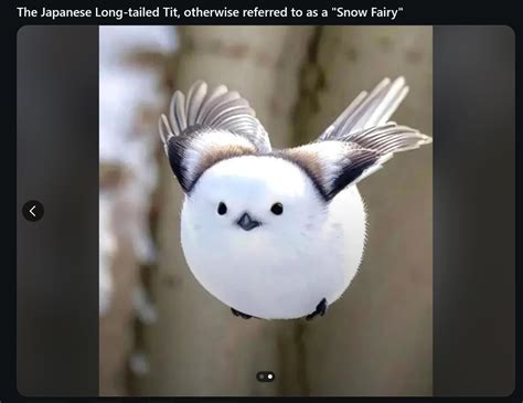 test test album on imgur