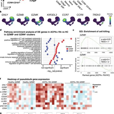 Single Cell Transcriptomics And Tcr Sequencing Demonstrate Clonally