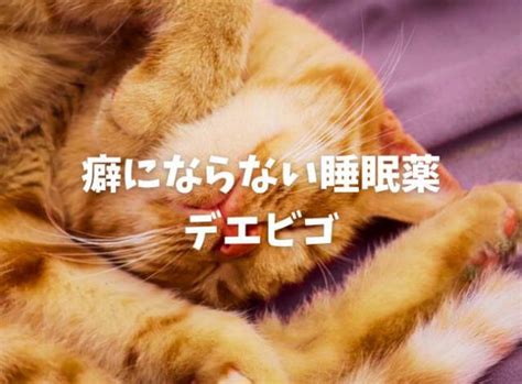 癖にならない睡眠薬デエビゴ錠の効果は？更年期の睡眠障害で服用中 ゆうゆうブログ