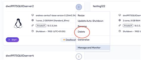 Deleting Vms