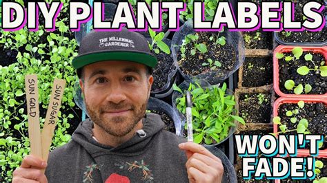 Best Way To Label Outdoor Plants Simple And Durable Methods Inside Grown